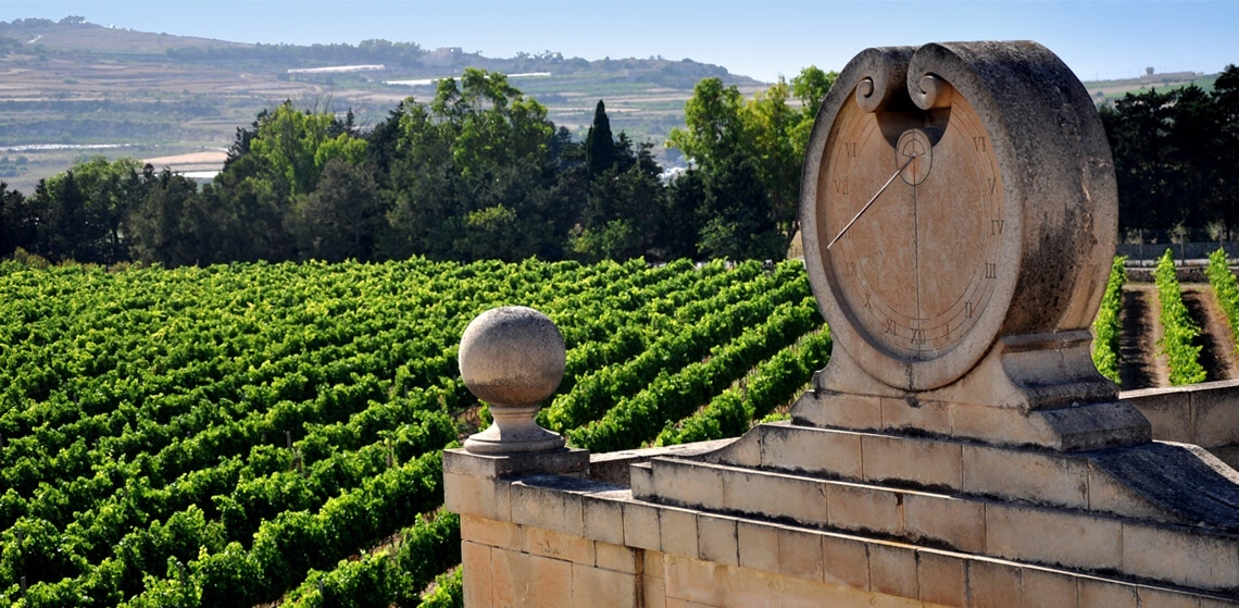 MALTA'S AGRICULTURAL HEARTLAND - Oh My Malta
