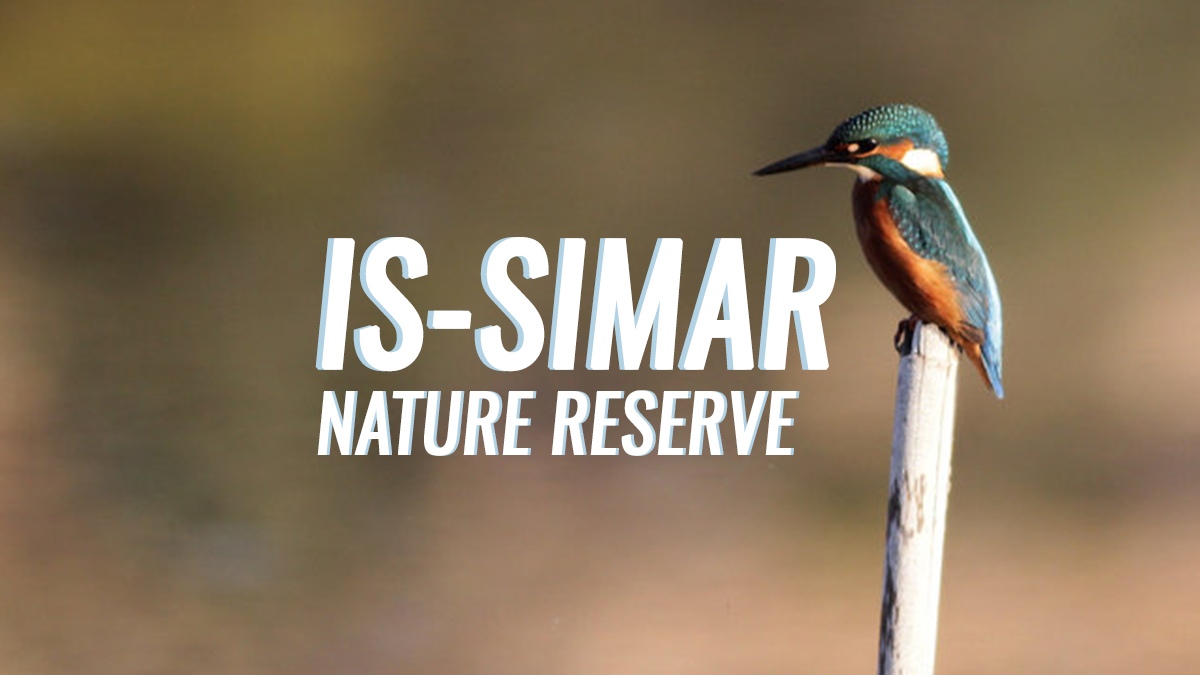 Nature Reserve Series: Is-Simar - Oh My Malta
