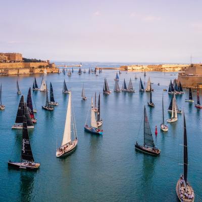 Il-Ġostra | One of Malta’s Oldest Sports - Oh My Malta