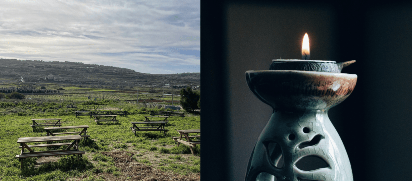 A Day Of Nature This May: Meditation and Connecting at Vincent's Eco ...