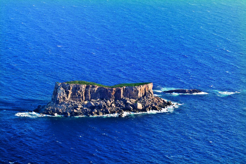 Ten Fascinating Facts About Filfla, Malta’s Forbidden Islet - Oh My Malta