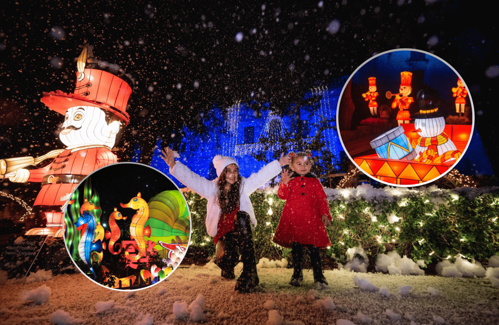 The Magic Illuminated Trail returns for another year - Oh My Malta