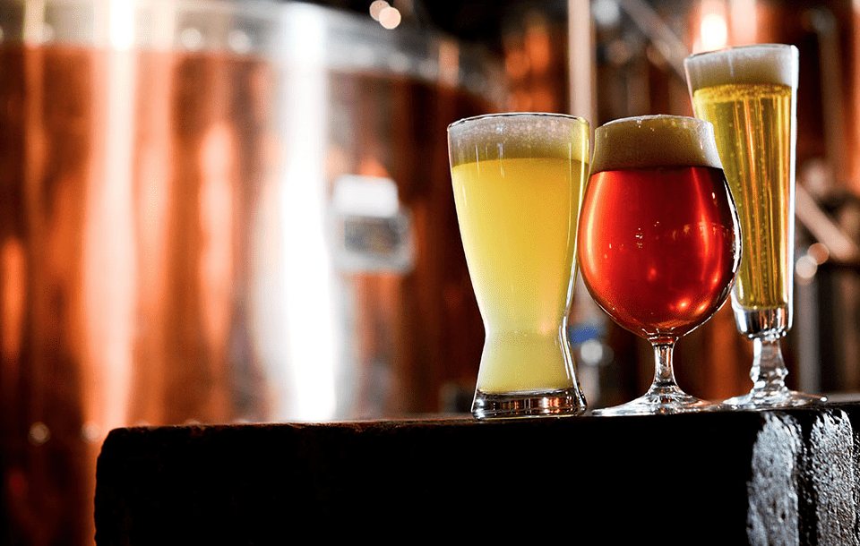 Craft Beer Tasting and Food Pairing Event Taking Place This February ...