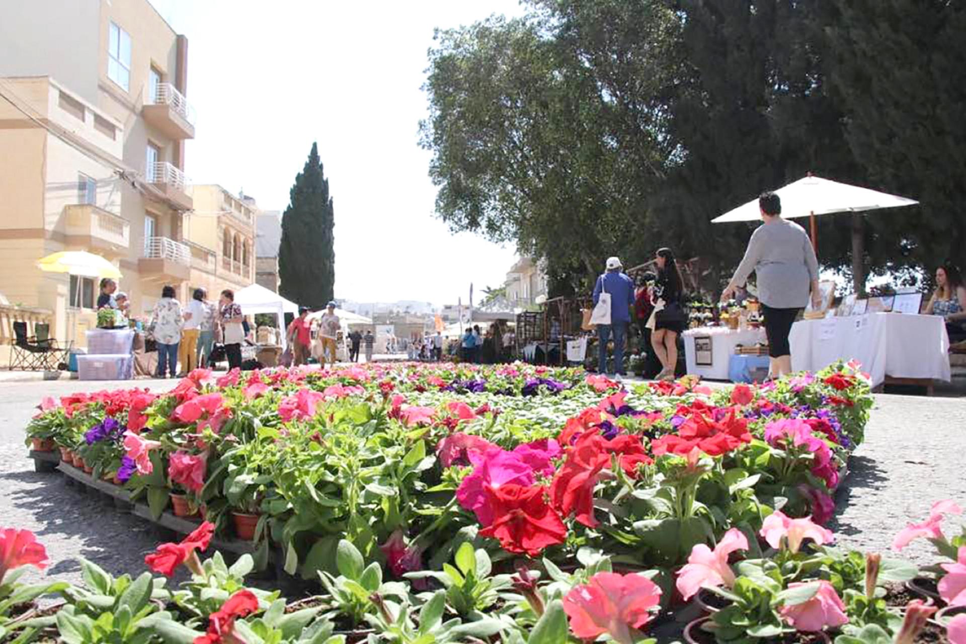 Experience a Floral Wonderland at Festa Fjuri Tomorrow in Iklin - Oh My ...