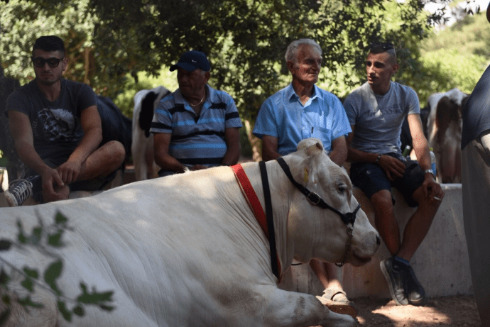 Celebrating the Feast of L-Imnarja - Oh My Malta